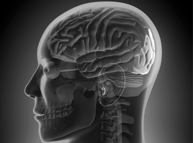 Home [www.viatrisconnect.com.br]